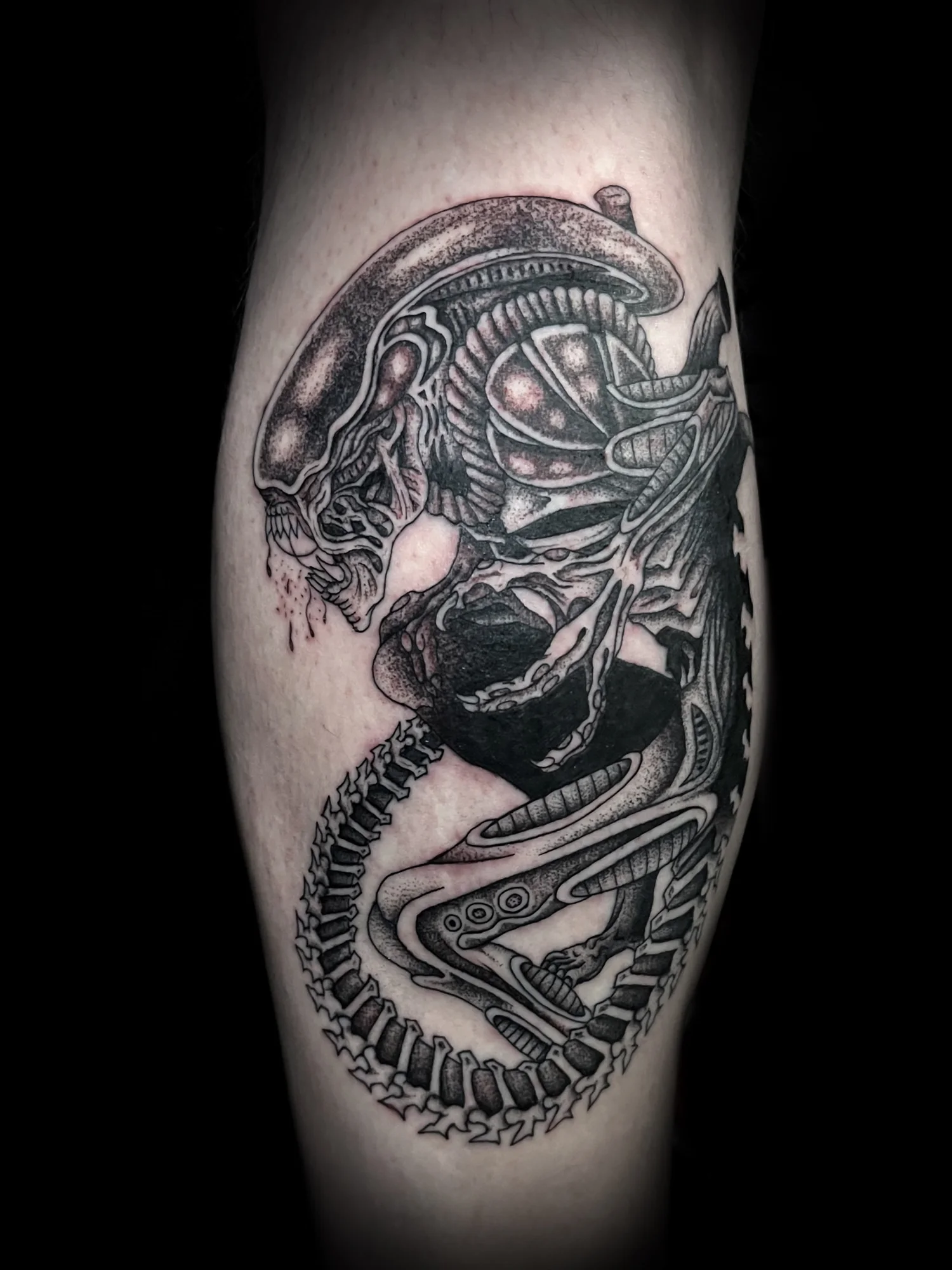 Not Occult Tattoo - Quality Tattoos in Seattle WA