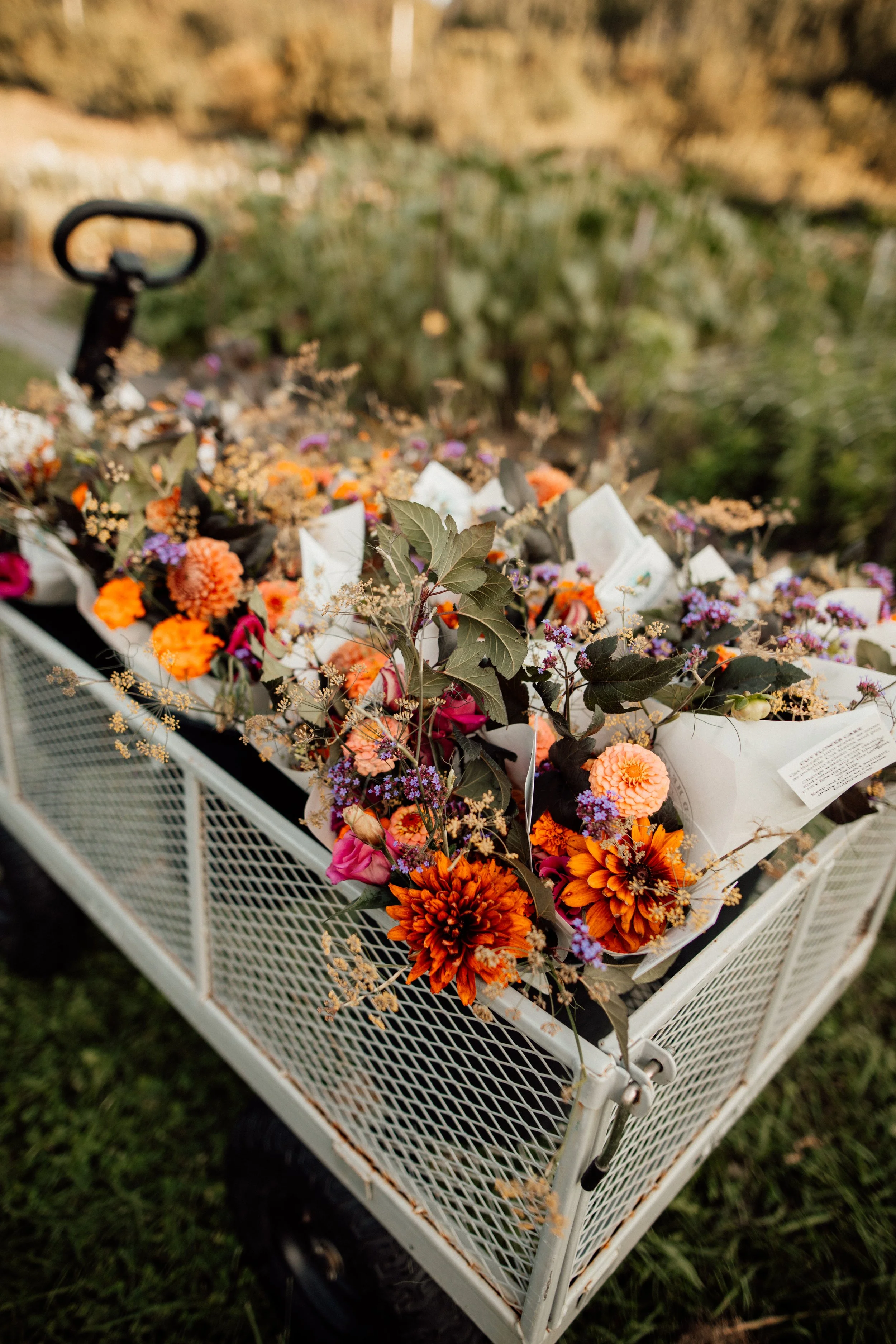 Shop locally grown Minnesota flowers and DIY workshop tickets — Bleed ...