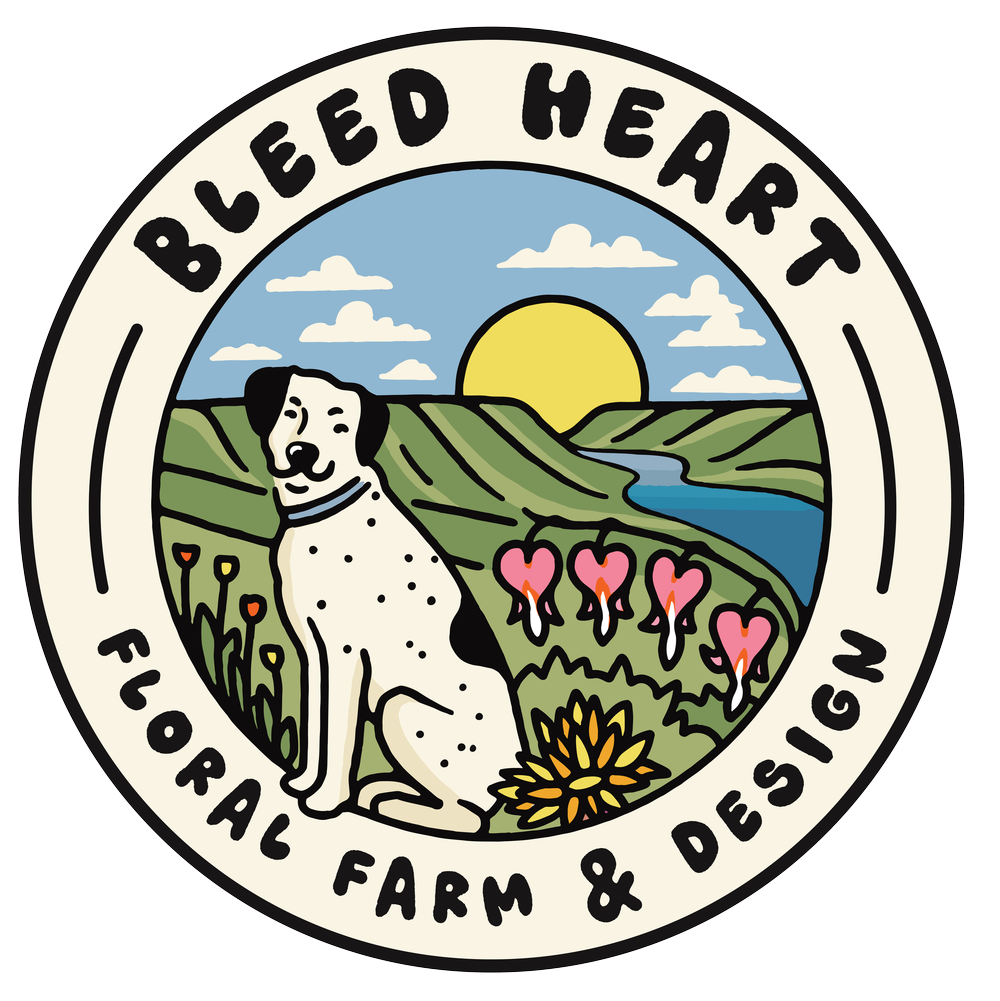 Weekly flower bouquets locally grown in Minnesota | CSA — Bleed Heart ...