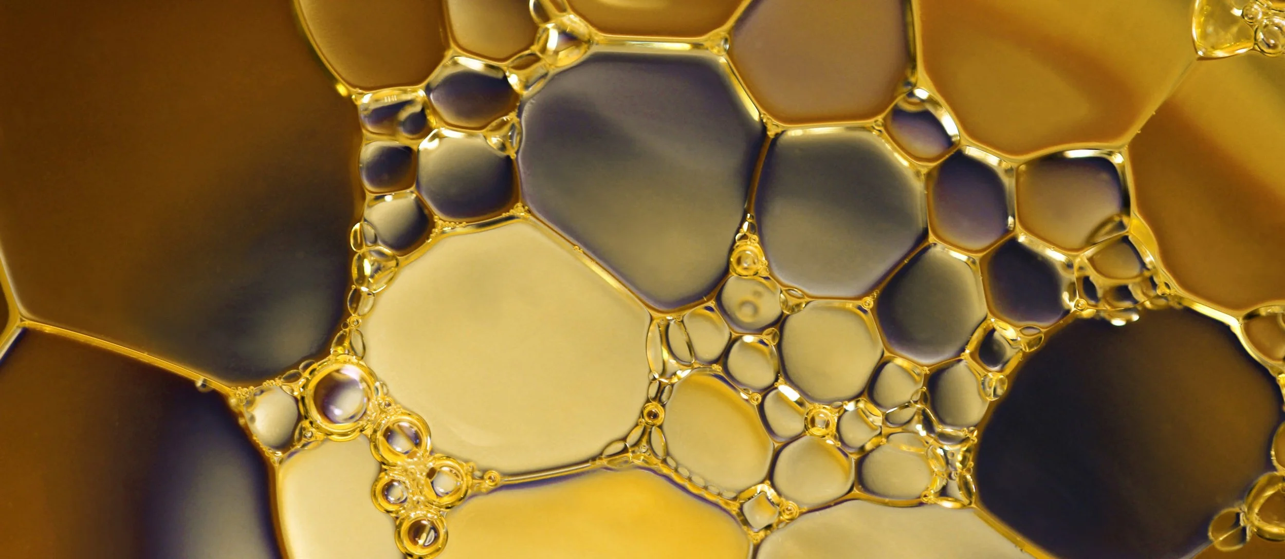 Chemicals and Additives — Caleb Technical