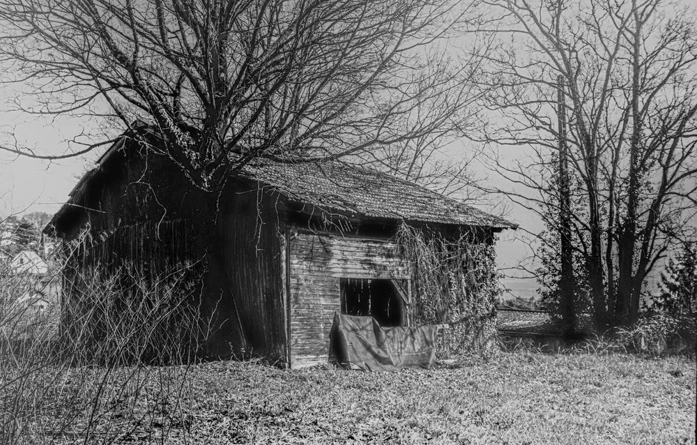 Inaccessible Homes. — SARA KONTAR