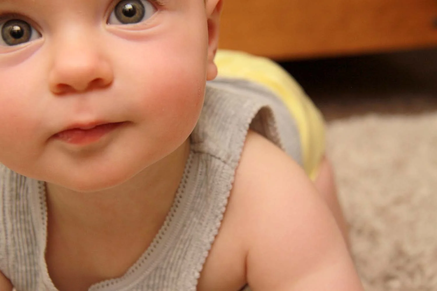 2 Year Old Not Talking But Understands | Talkable