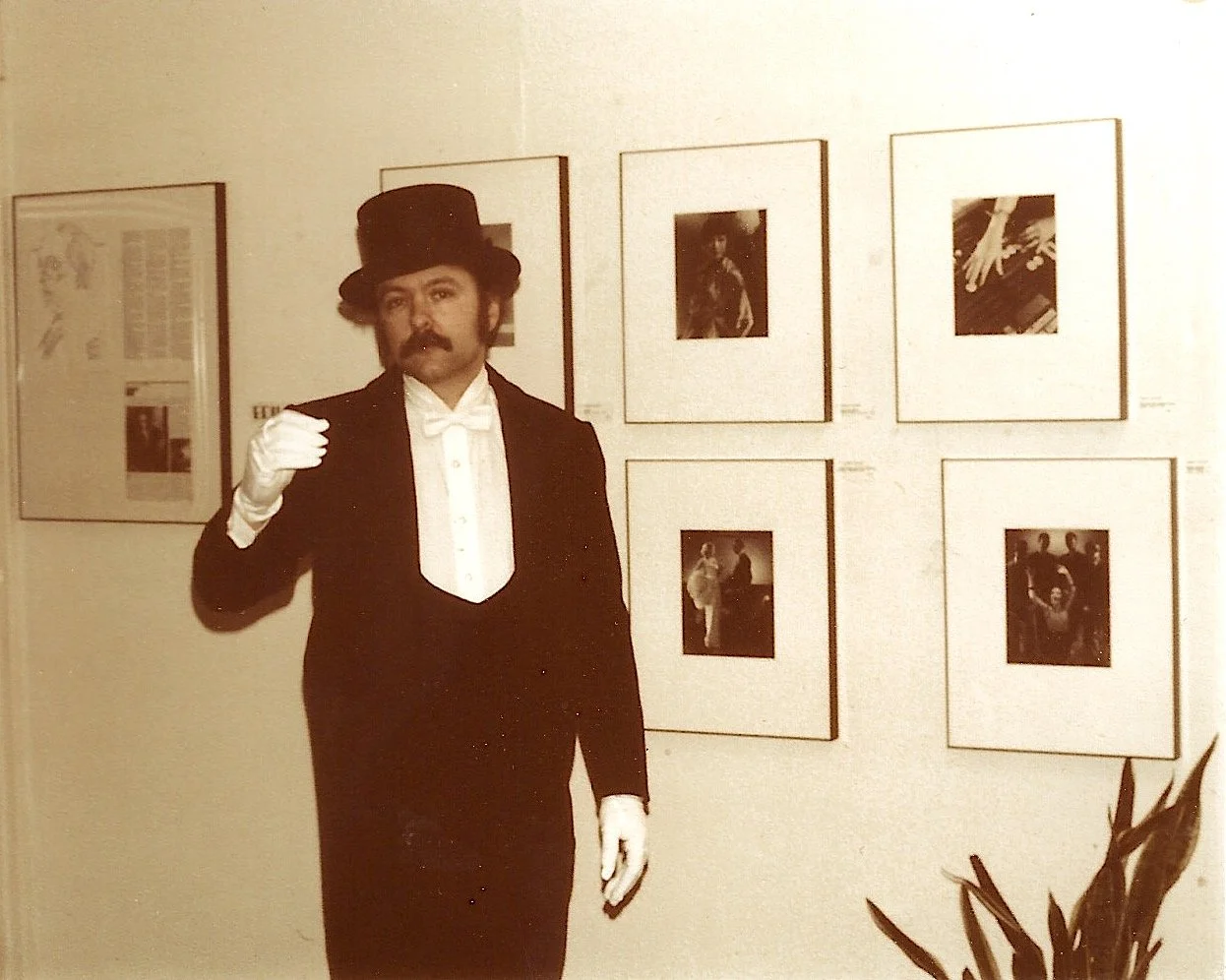 About — Stephen White Gallery