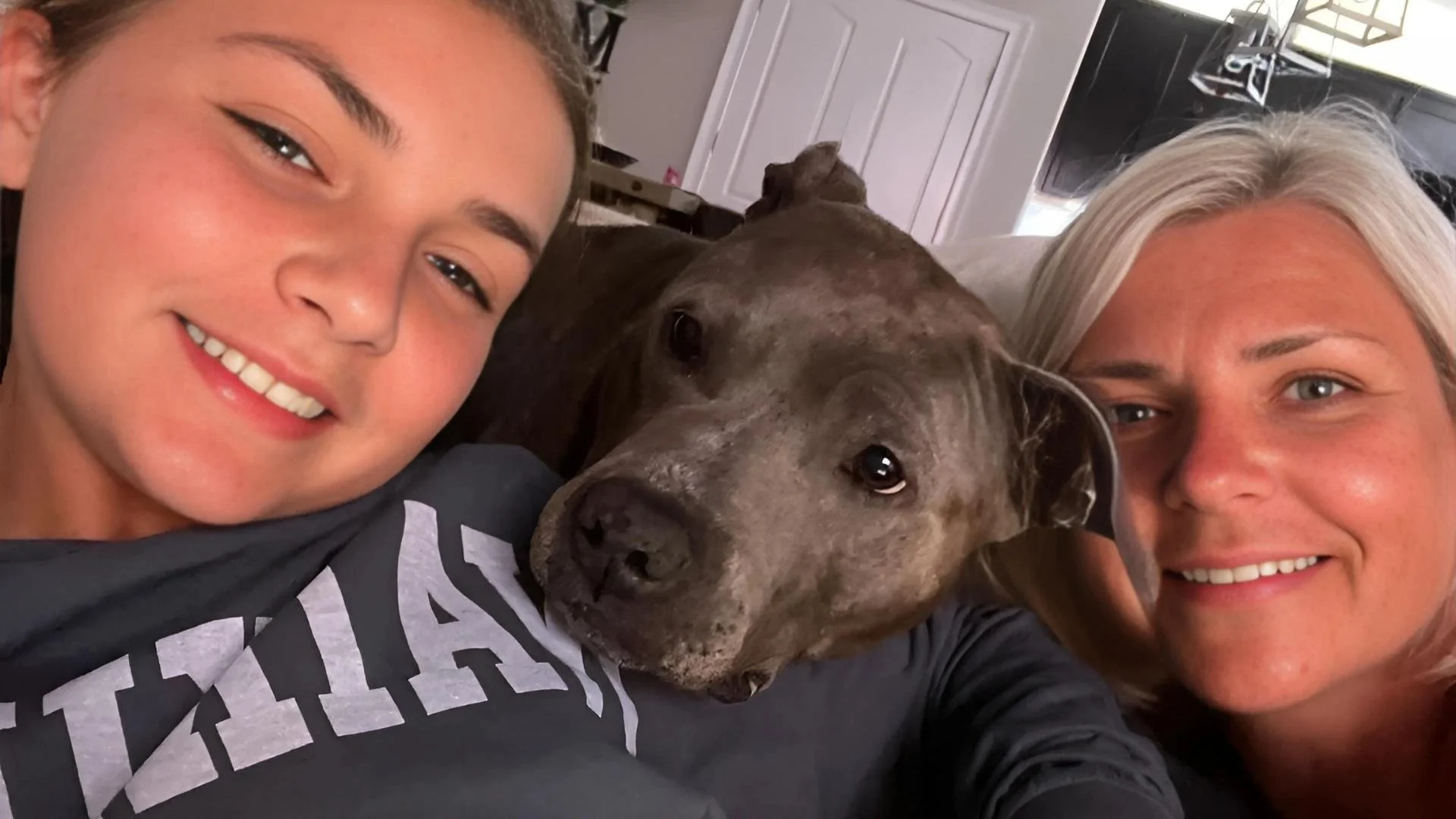 When There is Life, There is Hope: Willow's Story — Pangel