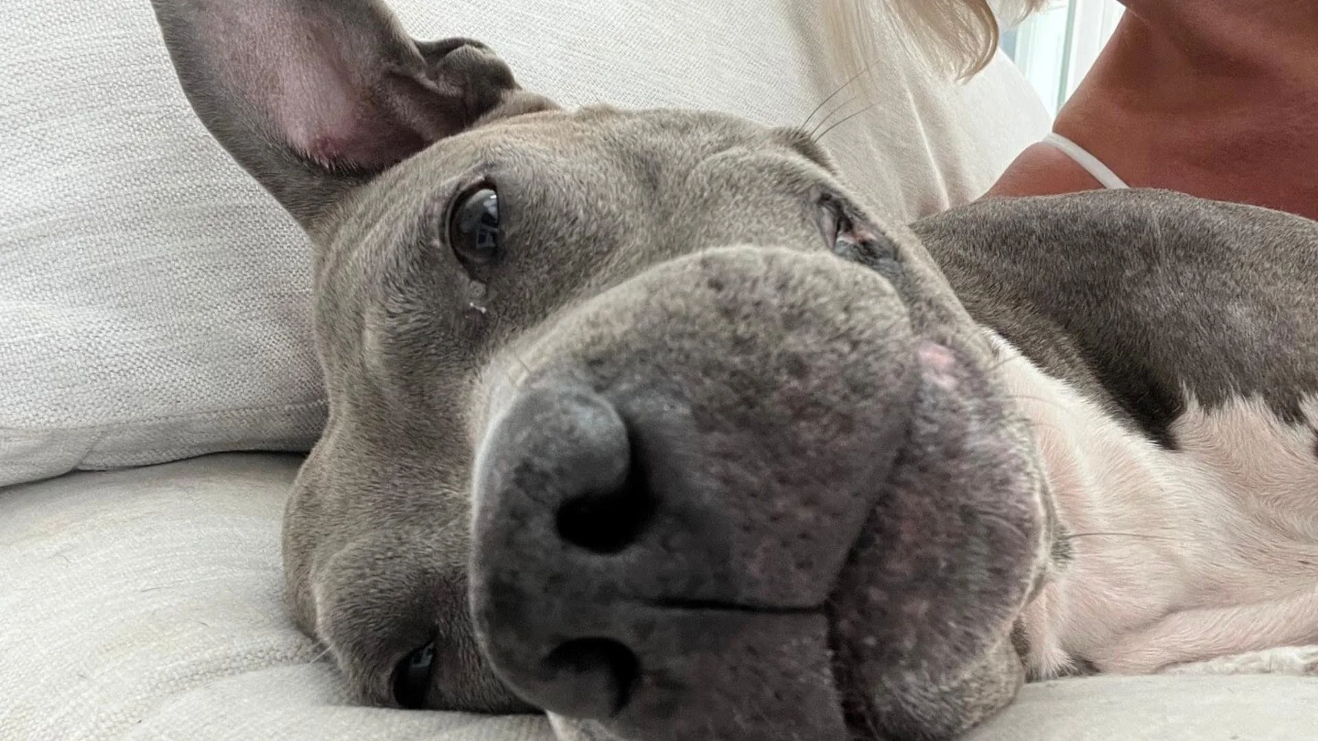 When There is Life, There is Hope: Willow's Story — Pangel