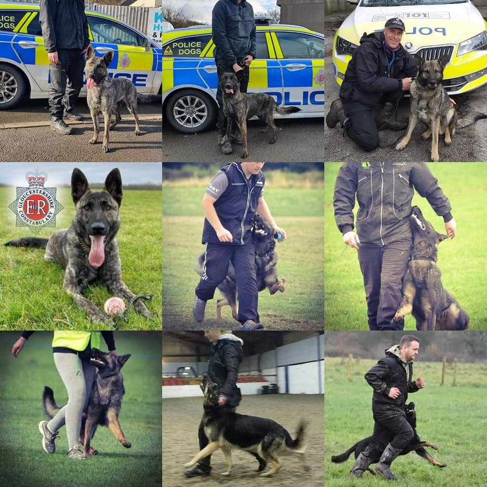 Contact — Hundenkraft