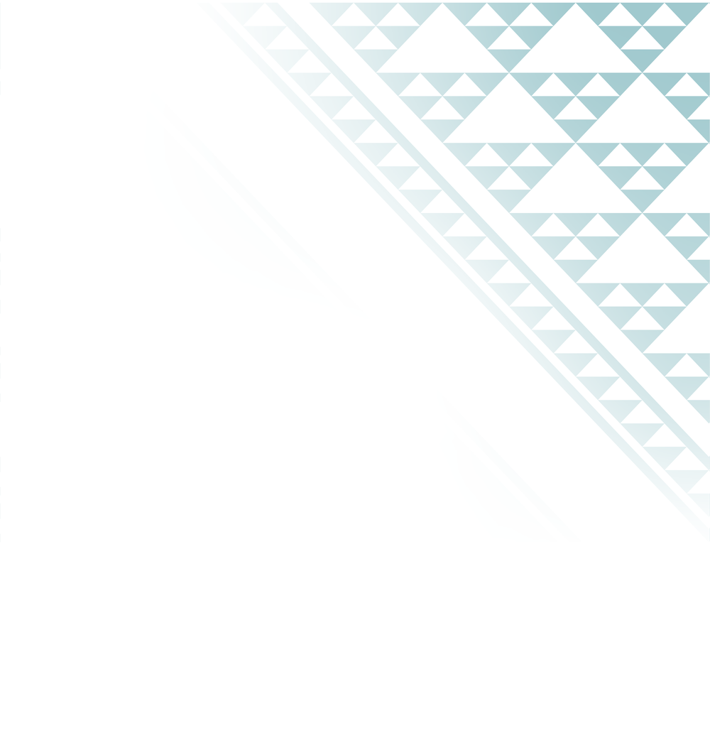 NZePS — Whanau Tahi