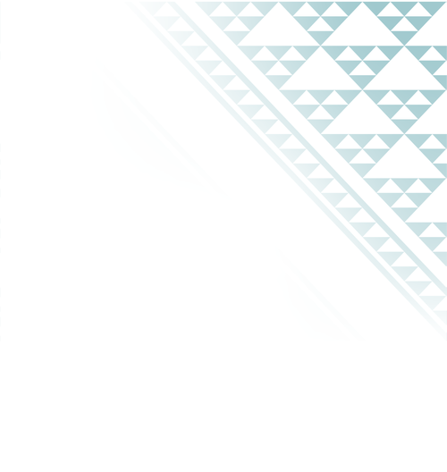 NZePS — Whanau Tahi