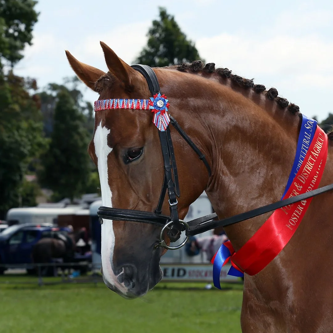 Pre-Entry Competitions — Foster Agricultural Show