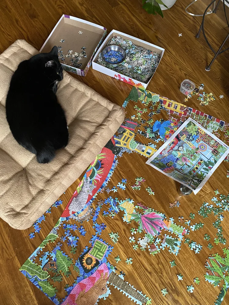 Puzzle Therapy — Art & Soul Clinic