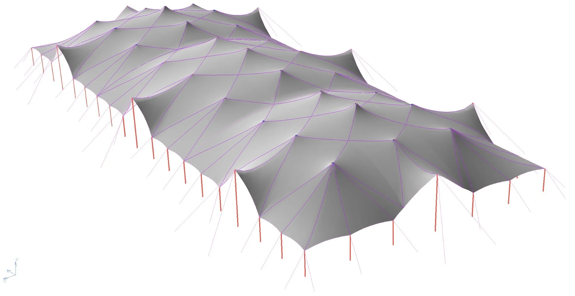 Customised Stretch Tents — Special Structures Lab.