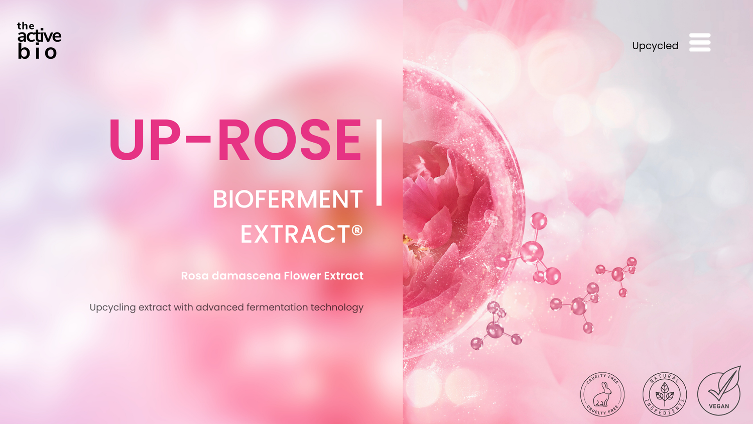 Sustainable Beauty : Upcycling Concept — The Active Bio | cosmetic ...