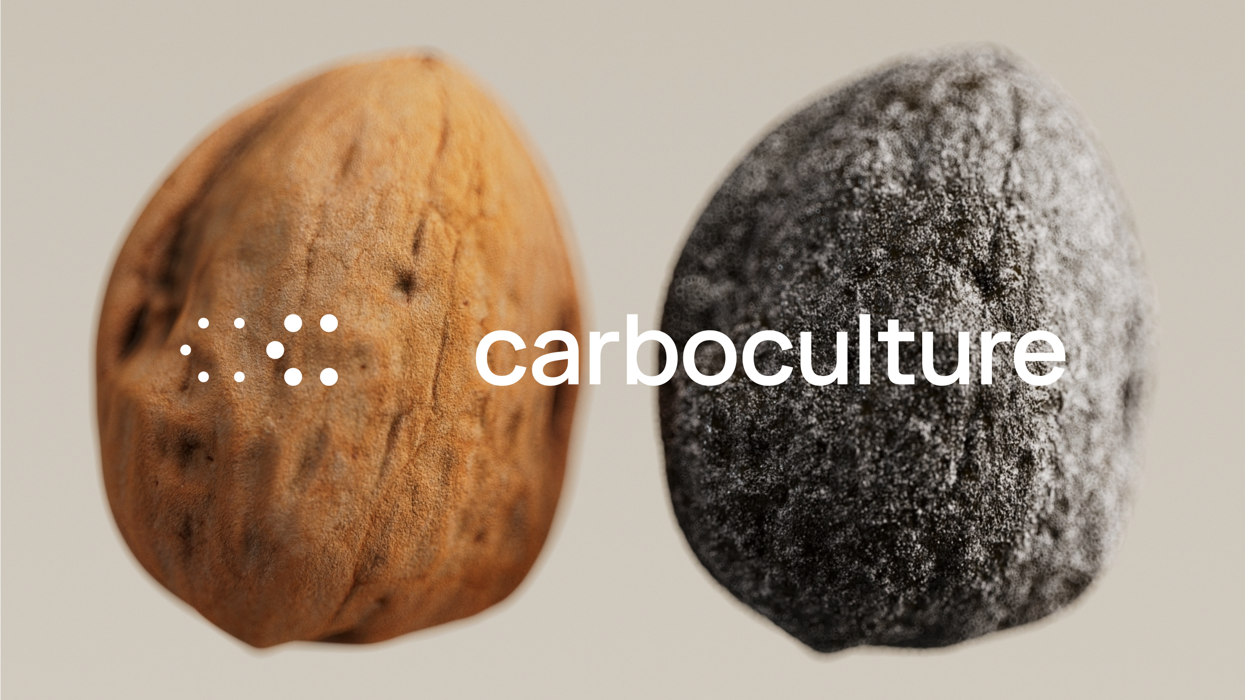 Carbo Culture: defining the future of biochar carbon removal — The ...