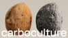 Carbo Culture: defining the future of biochar carbon removal — The ...