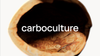 Carbo Culture: defining the future of biochar carbon removal — The ...