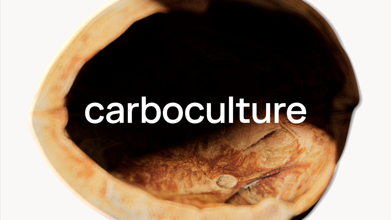 Carbo Culture: defining the future of biochar carbon removal — The ...
