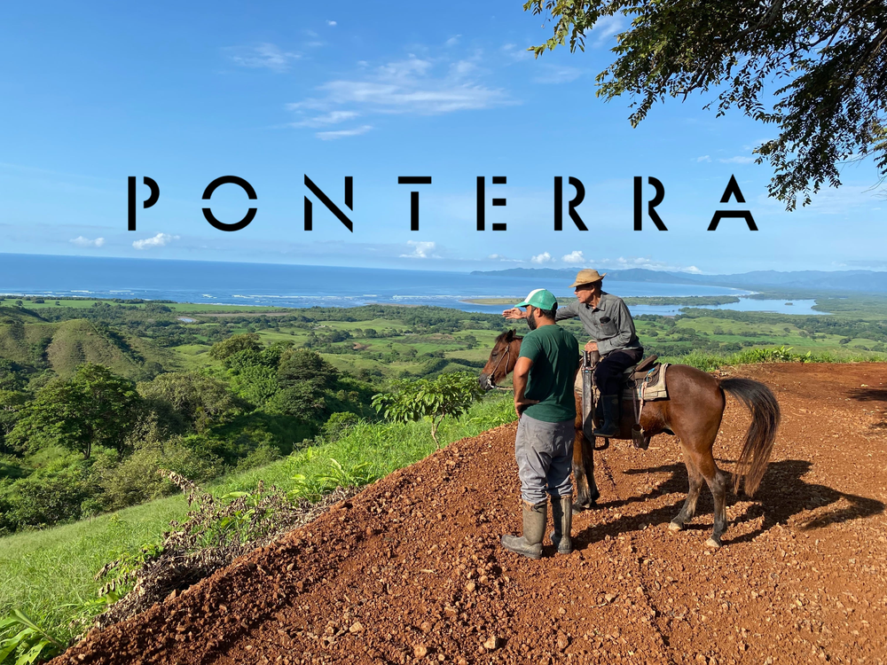 Ponterra: pioneering a new model for nature restoration — The Climate Race