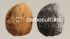 Carbo Culture: defining the future of biochar carbon removal — The ...