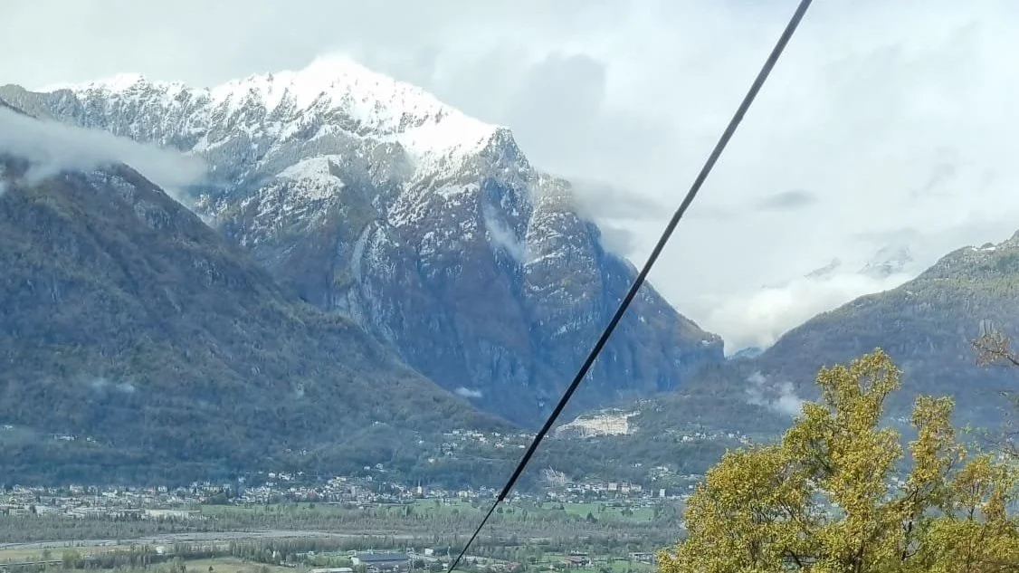 SWISS HOTEL SCHOOLS — DON WHITFORD CONSULTING (DWC)