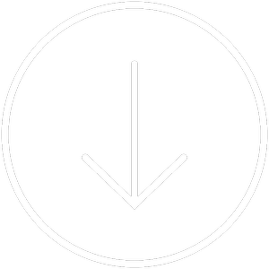 Our Team | DragonFly Athletics