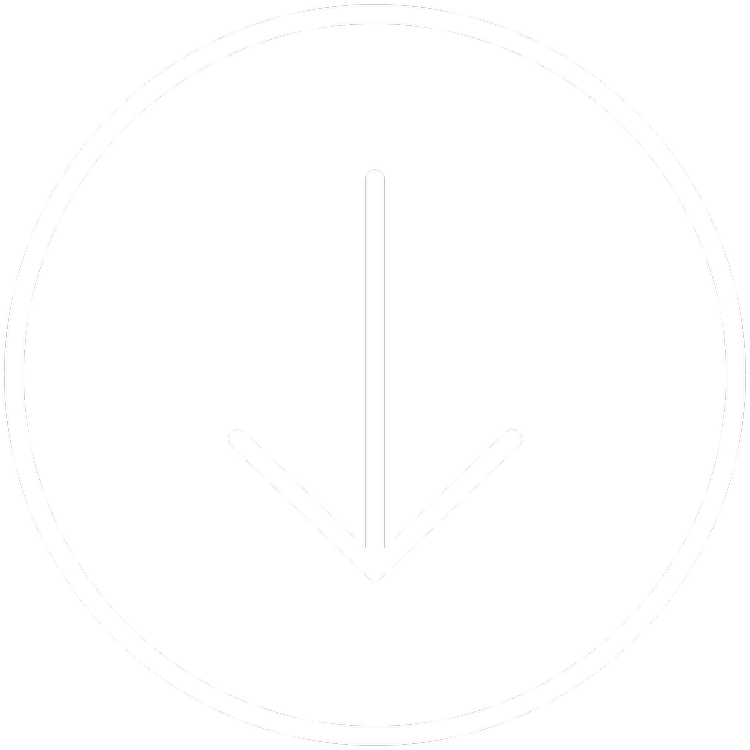 Our Team | DragonFly Athletics