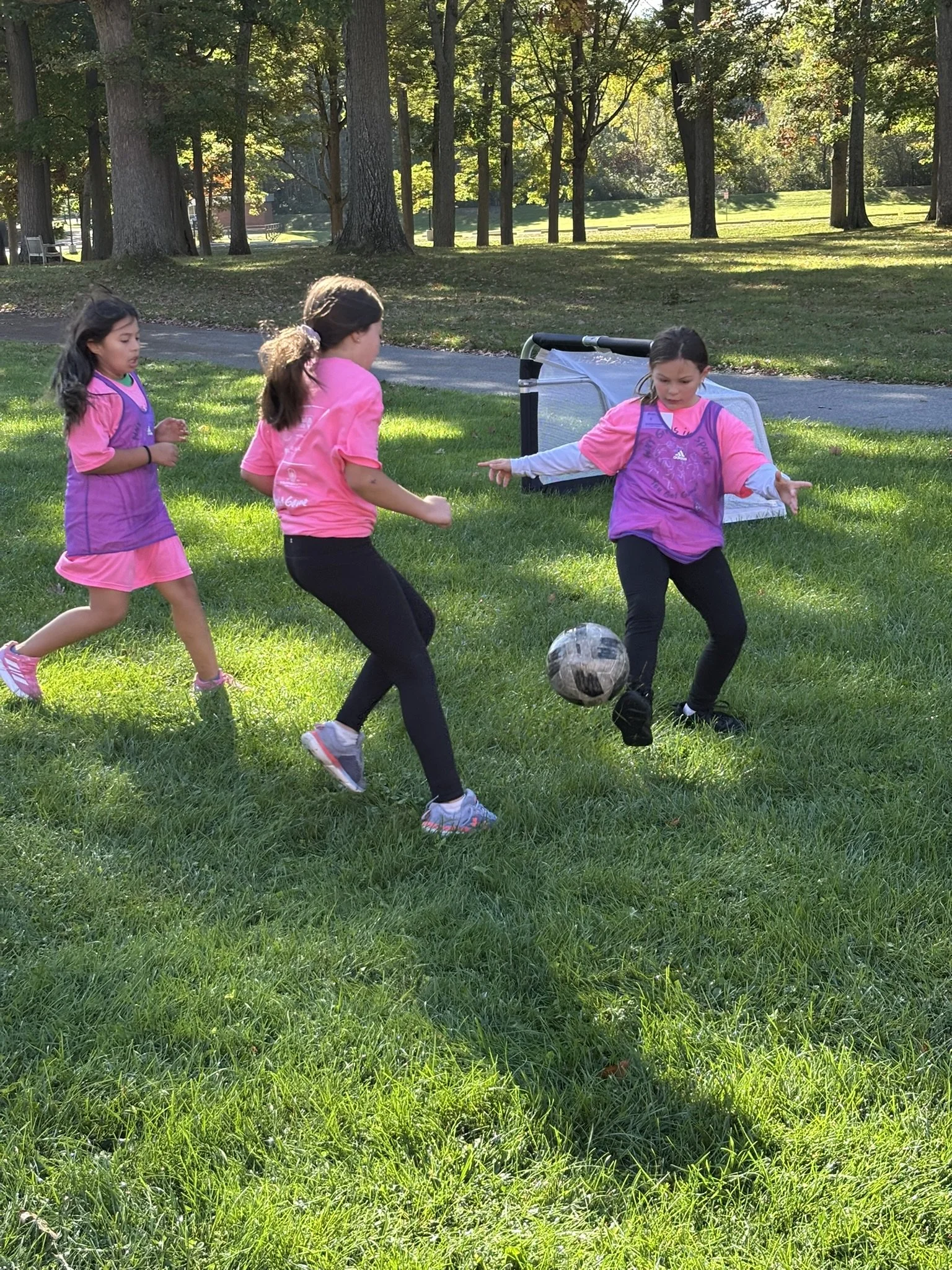 More Than 100 Attend Western New York Girls in Sports — United Way of ...