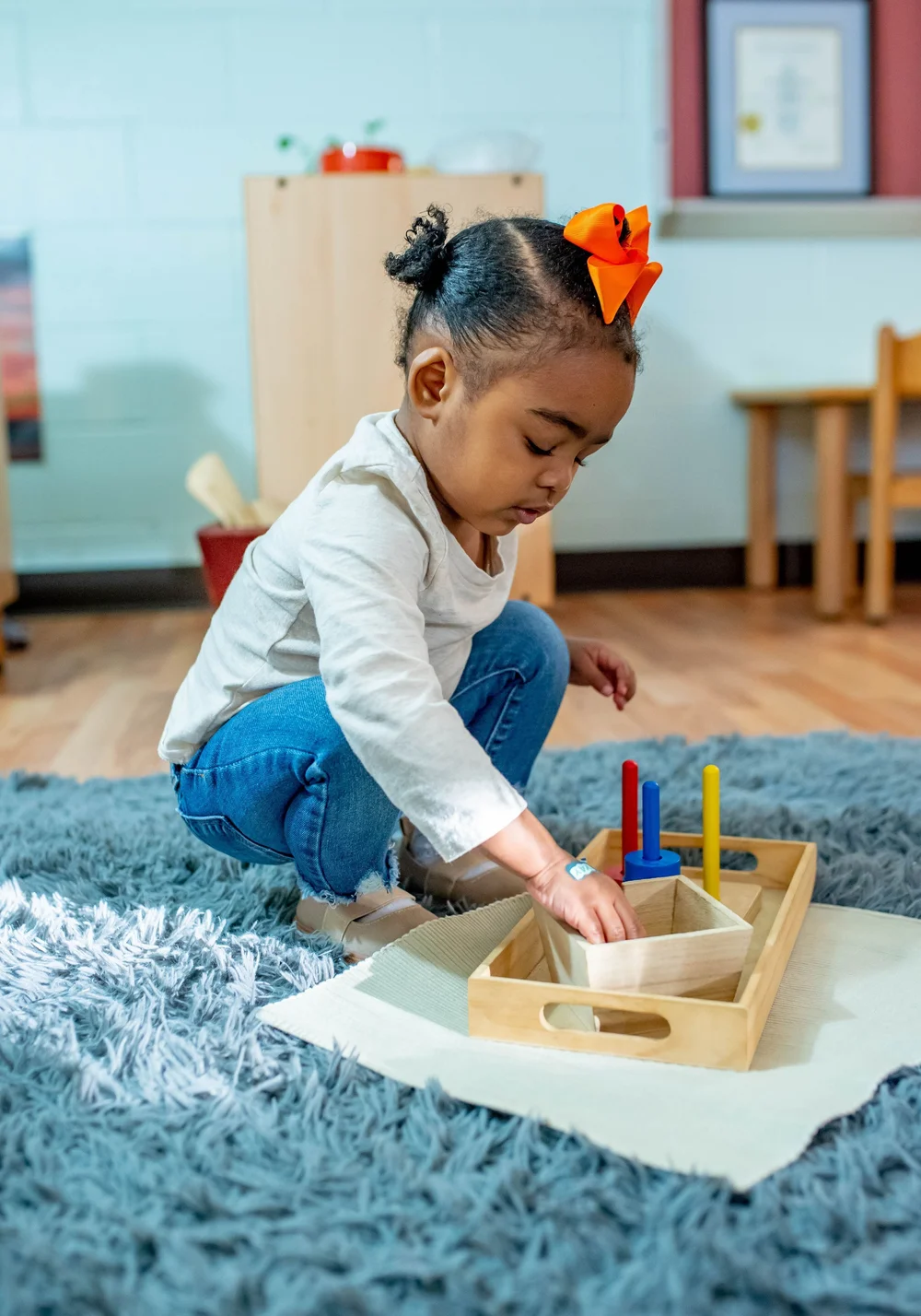 Trinity Montessori School Programs — Trinity Montessori School