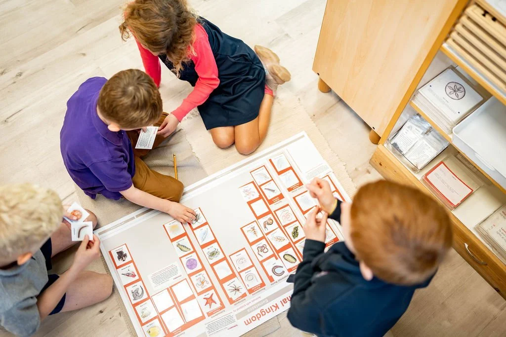 Trinity Montessori School Programs — Trinity Montessori School