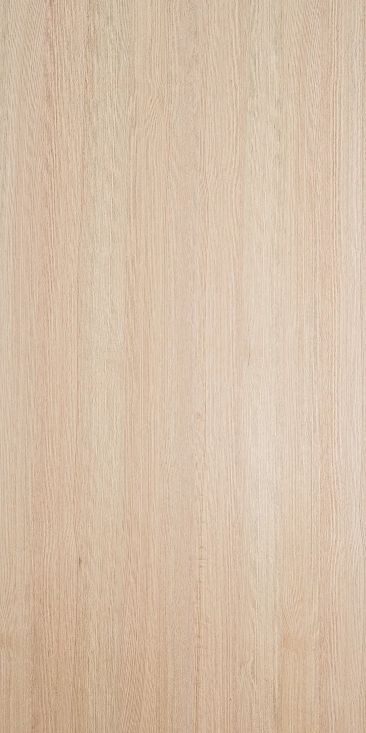 ENCINO BLANCO CHAPA NATURAL — TAROPA, TU PROVEEDOR DE CHAPA DE MADERA ...