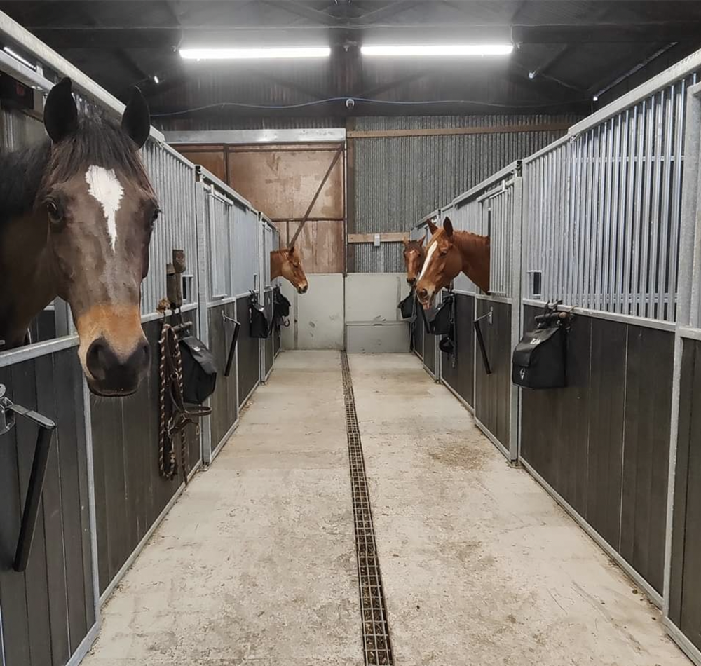 Wood Farm Equestrian Facility Hampshire