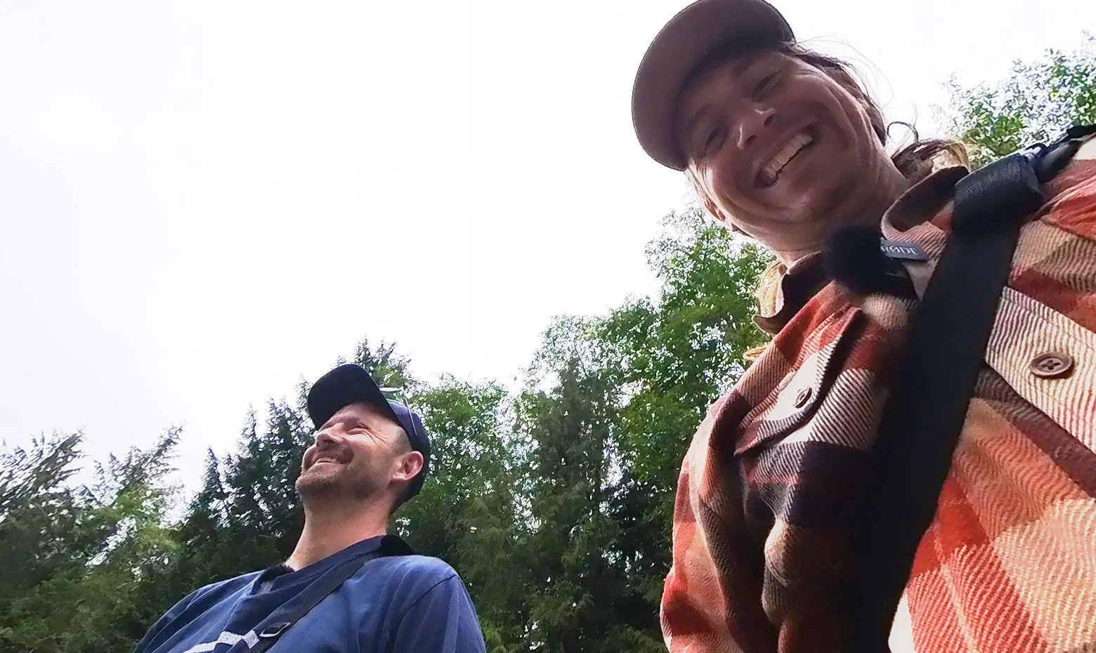 Somewhere in the Pines