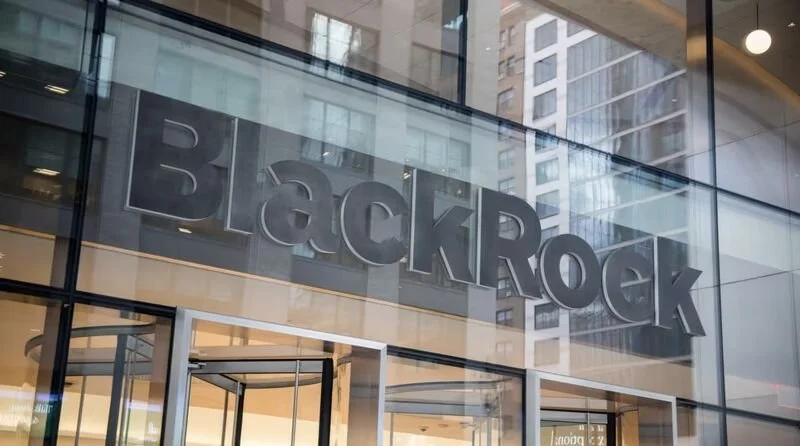 Bridging the Investment Gap — Metis Endeavor