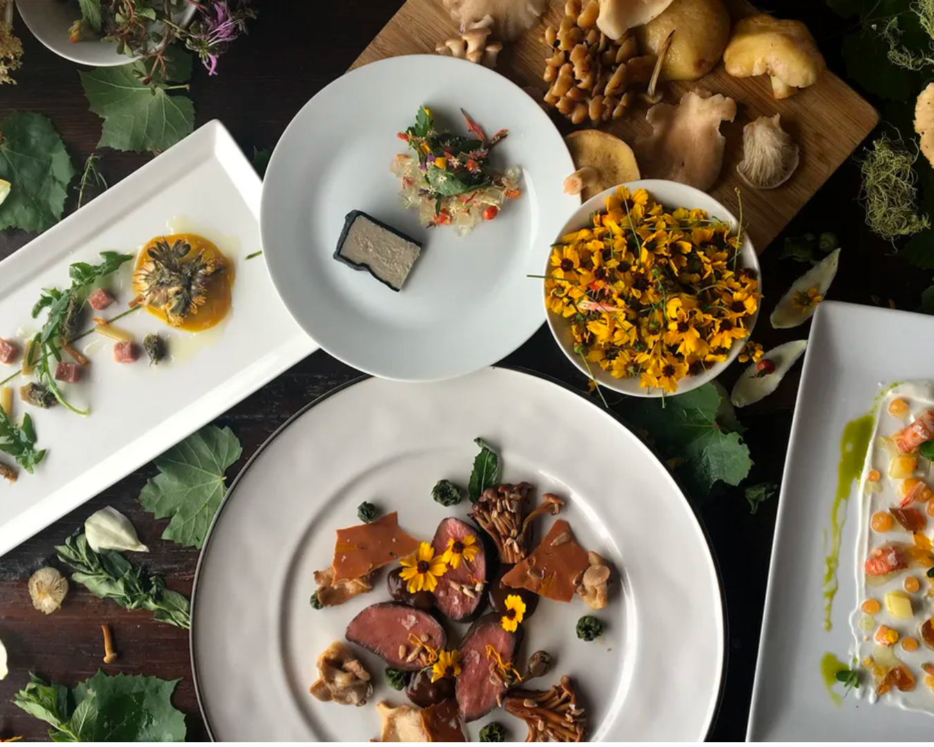 MEDIA — Square Root Foods Catering