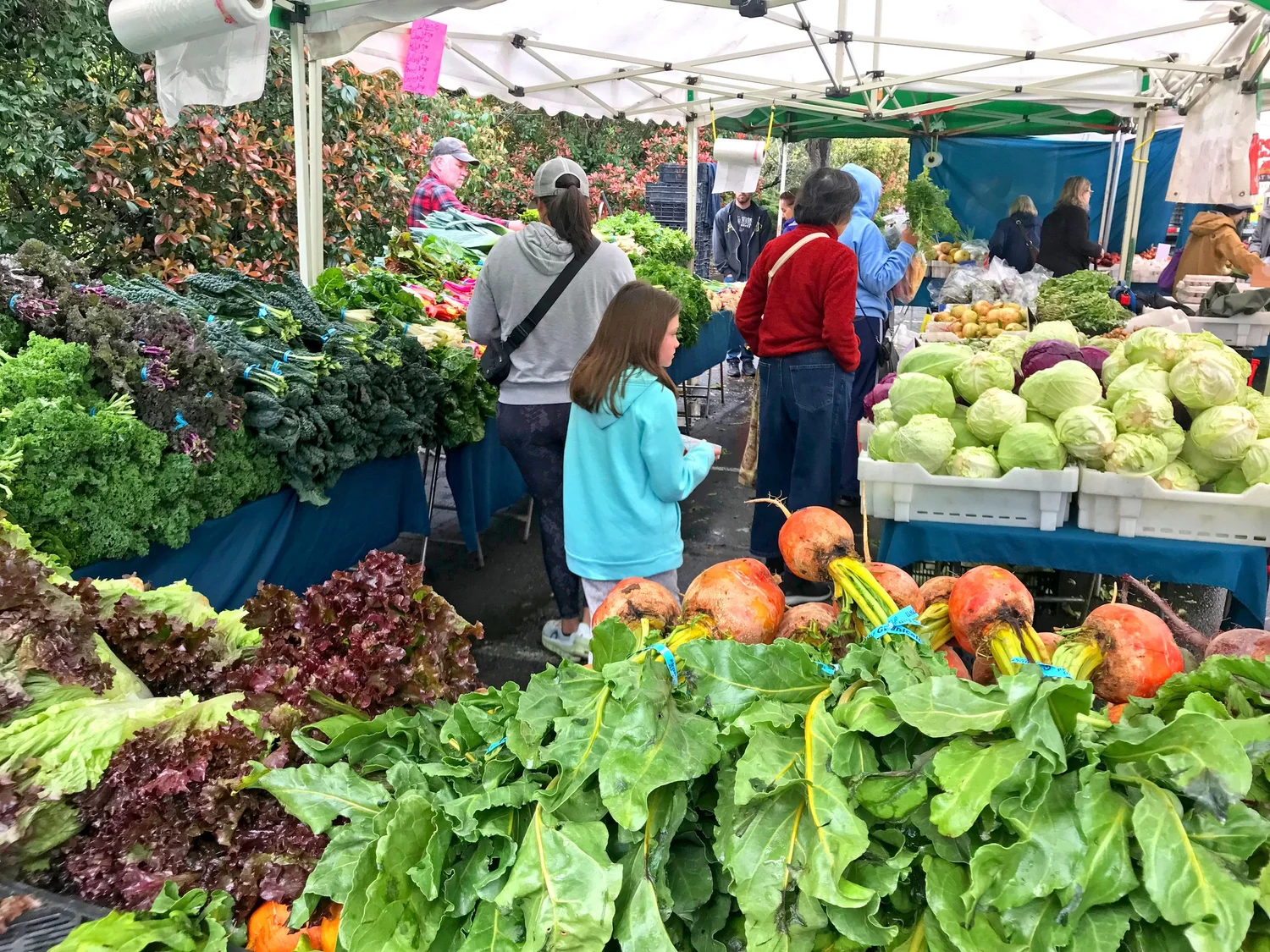 Visit Shadelands Walnut Creek