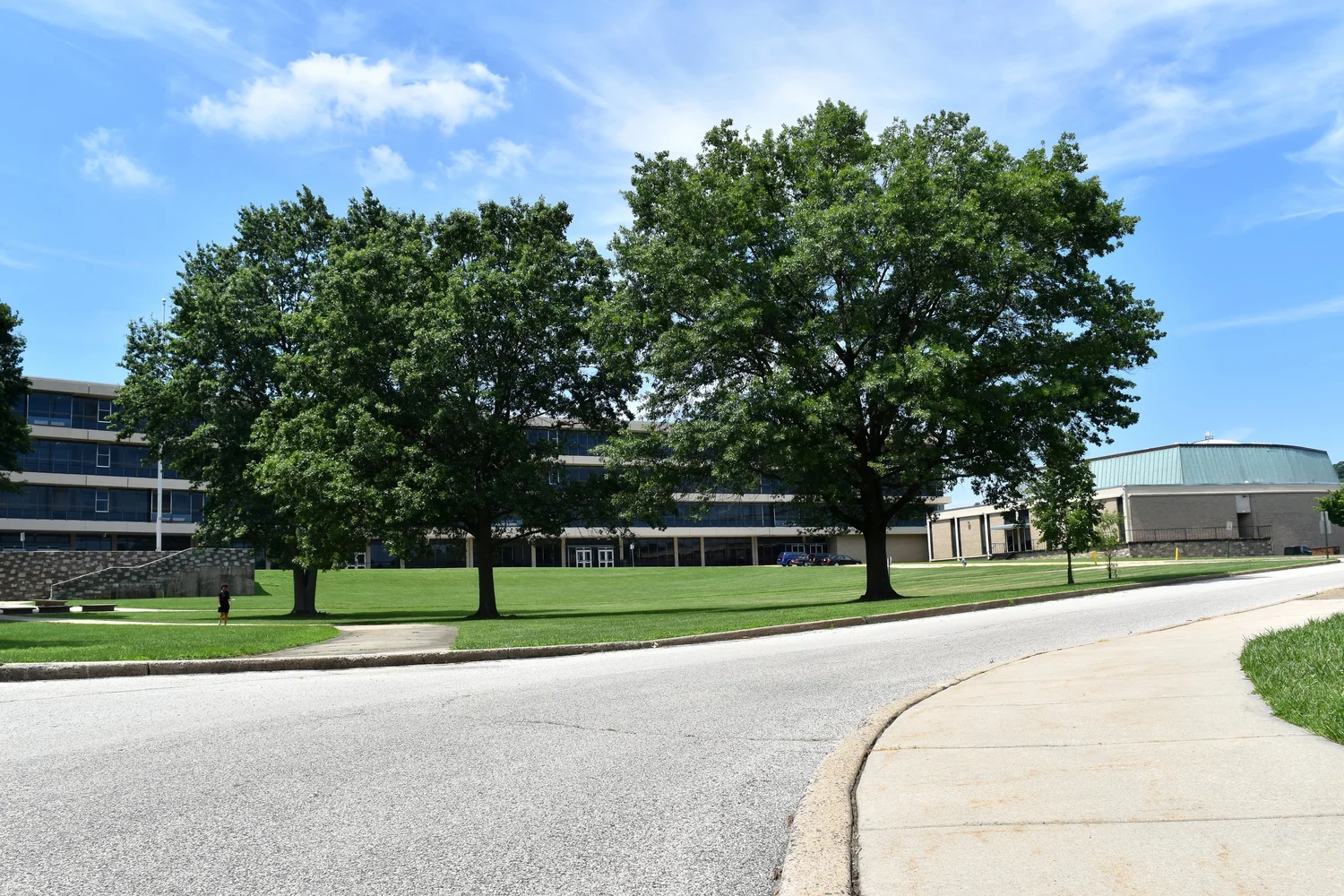 Middle School Options — One ASD, One Future