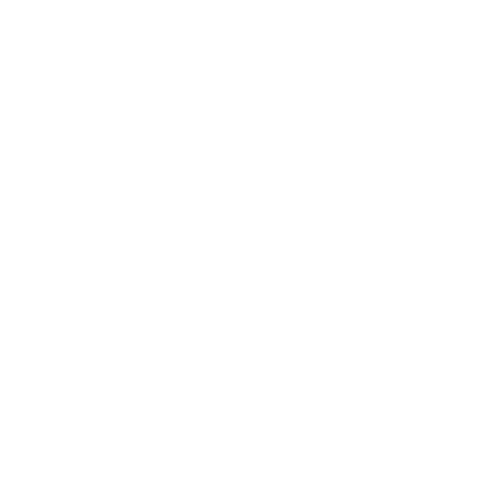 The Wandering Bee Flower Farm | Beautiful Blooms from The Farm