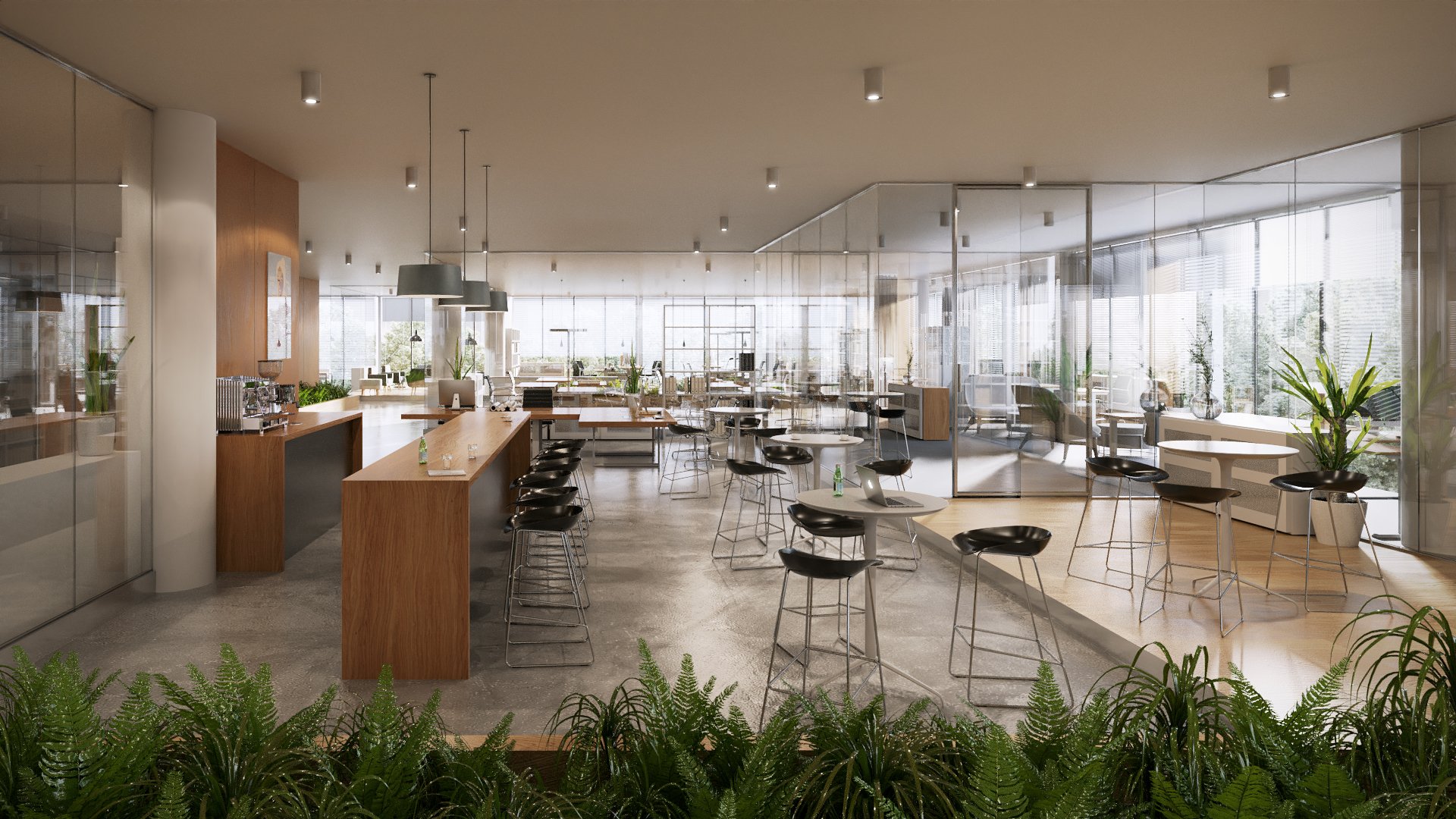 Interior — Chocofur Store