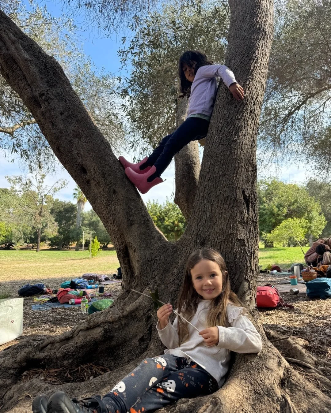 ALL FRIENDS NATURE SCHOOL