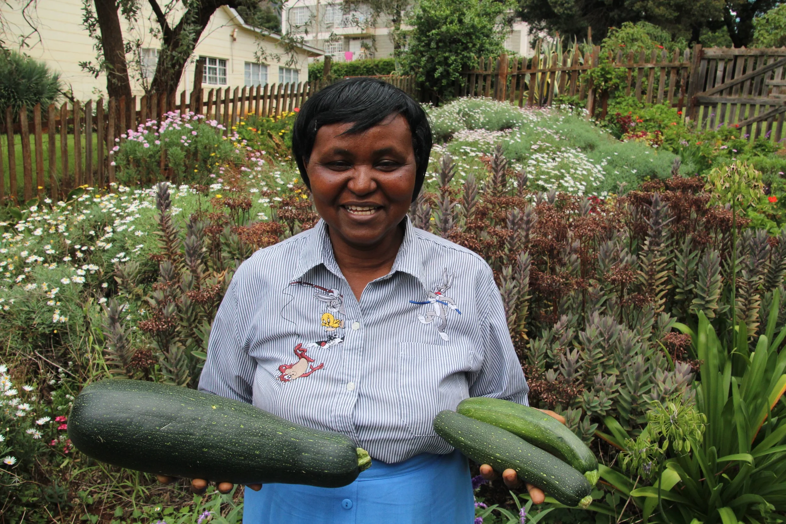 Creation Stewards International