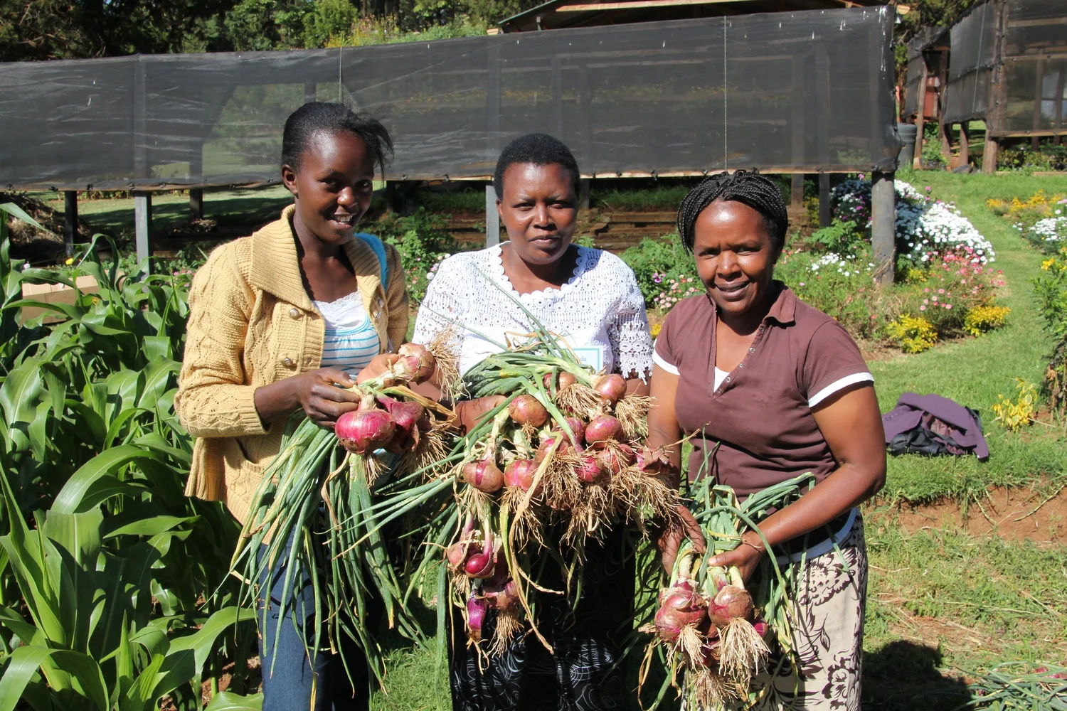 Creation Stewards International