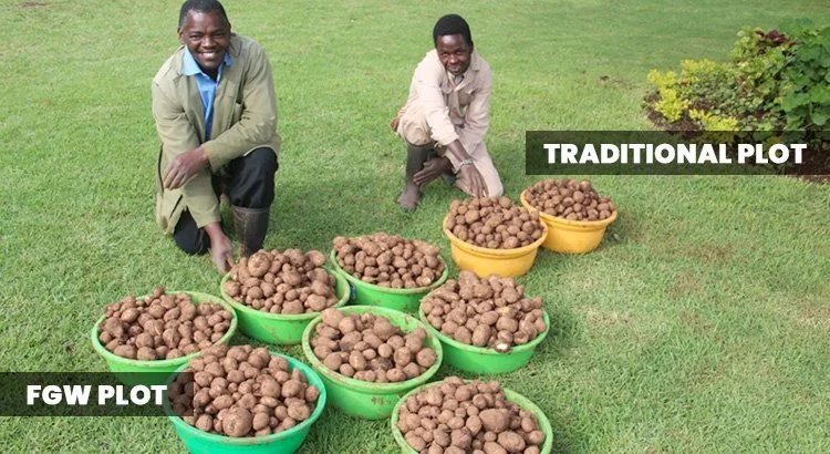 Farming God's Way — Creation Stewards International