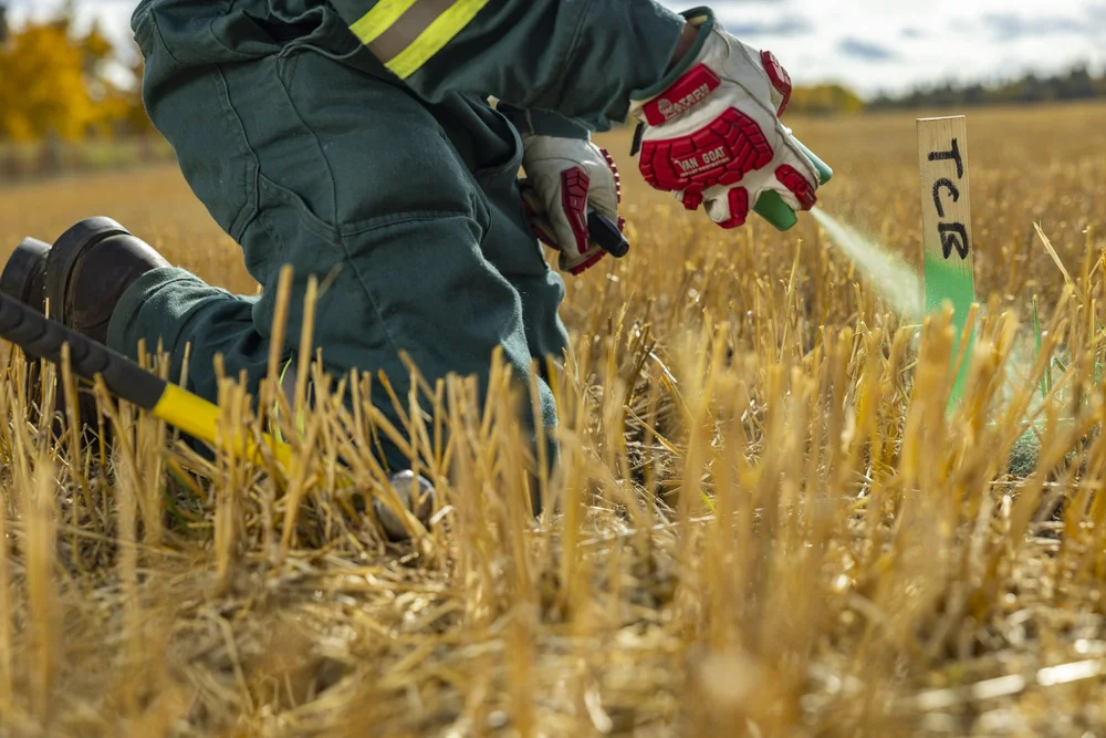 Private Line Locating — TCB Line Locating