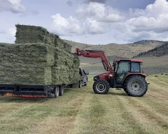 100% Natural | Grass-Fed & Grass-Finished Beef | High Quality | Locally ...