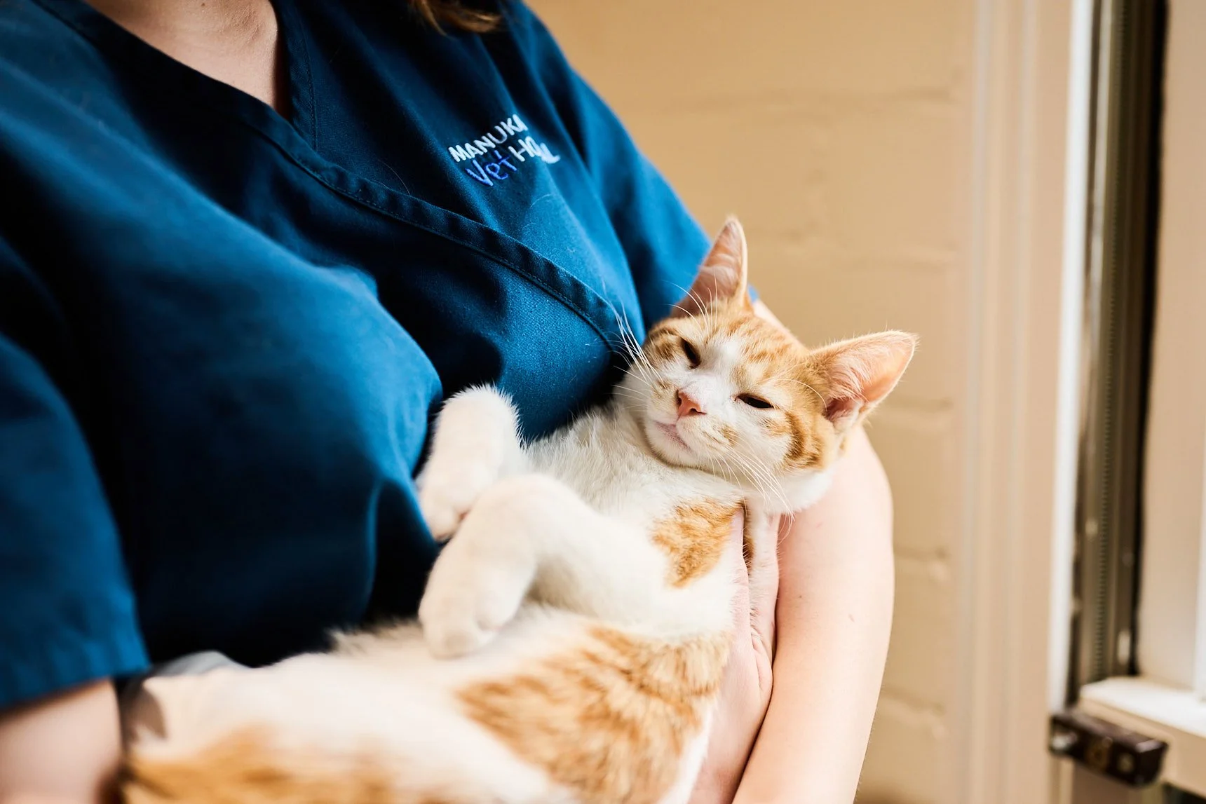 Manuka Vet Hospital | Services
