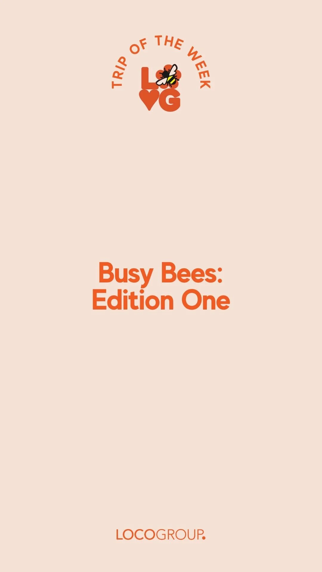 Our Services — LOCO GROUP