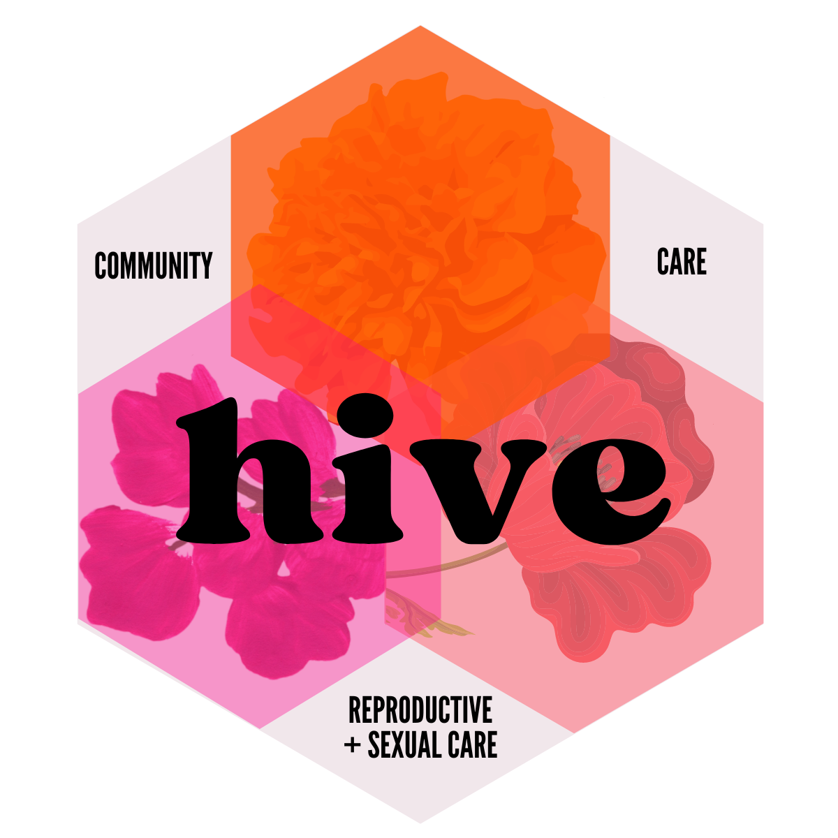 About — Hive Community