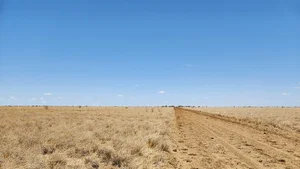 RAPAD Region — RAPAD Power Grid