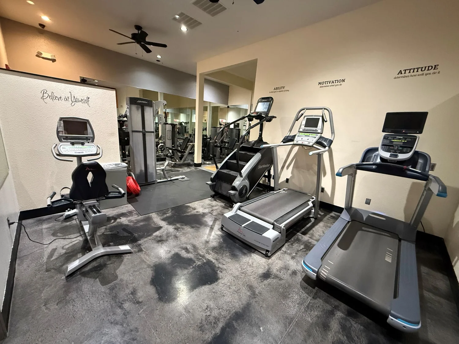 Premier Strength Training Equipment & Facilities including Free Weights ...