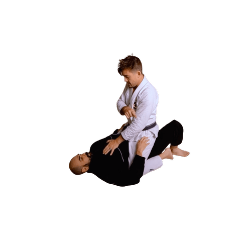 Mount BJJ — The BJJ Project