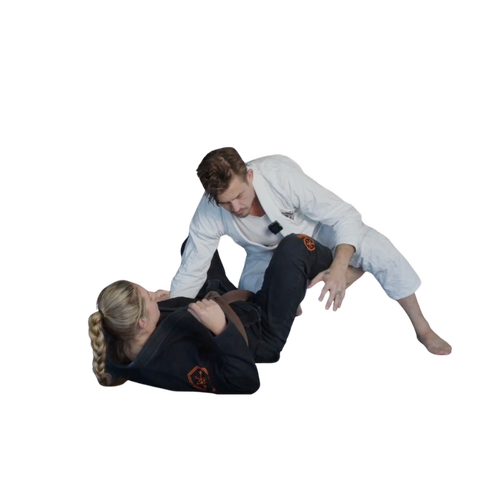 Guard Passing — The BJJ Project